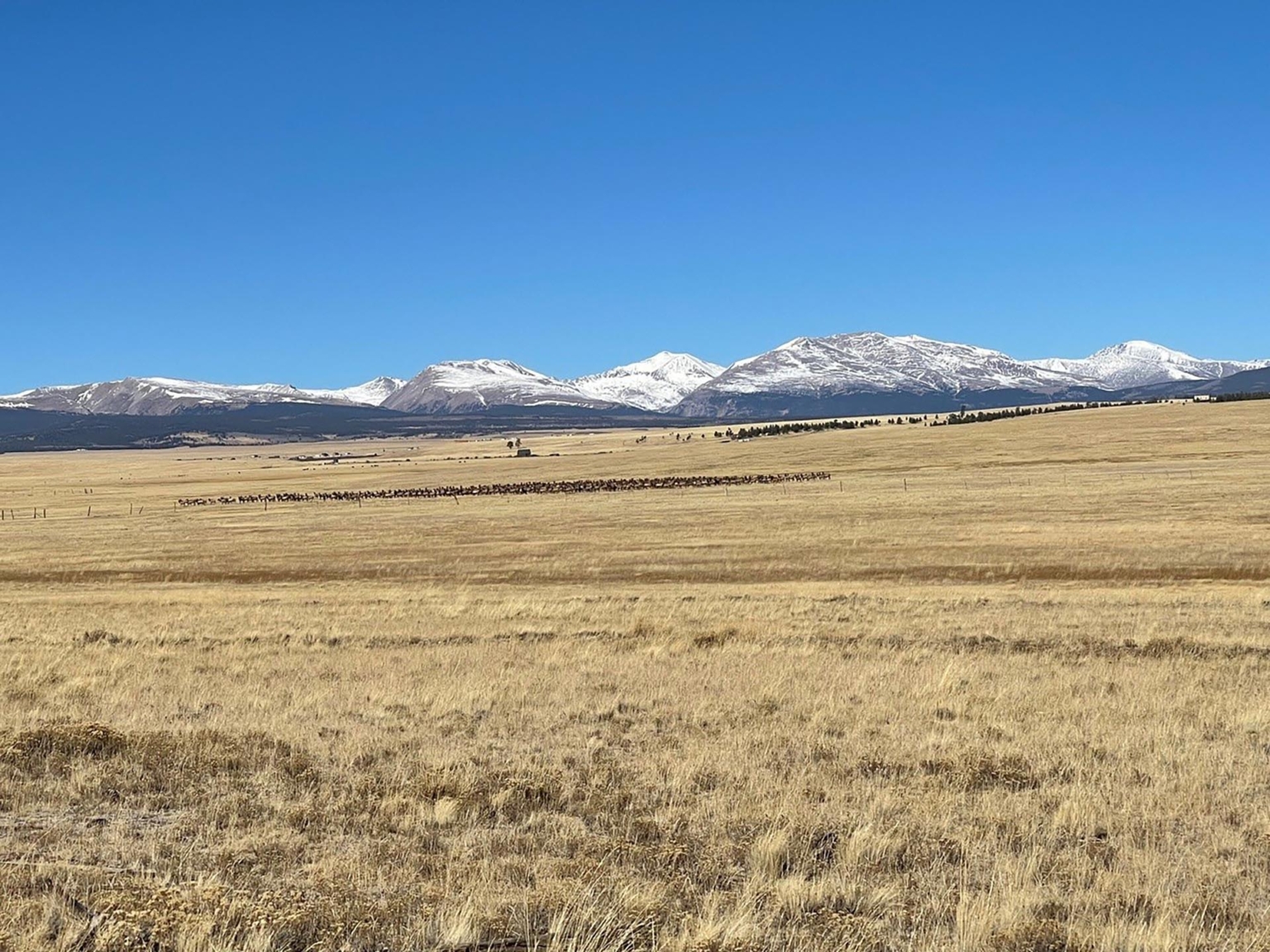 Elk Valley Ranch | Hartsel Colorado | Fay Ranches