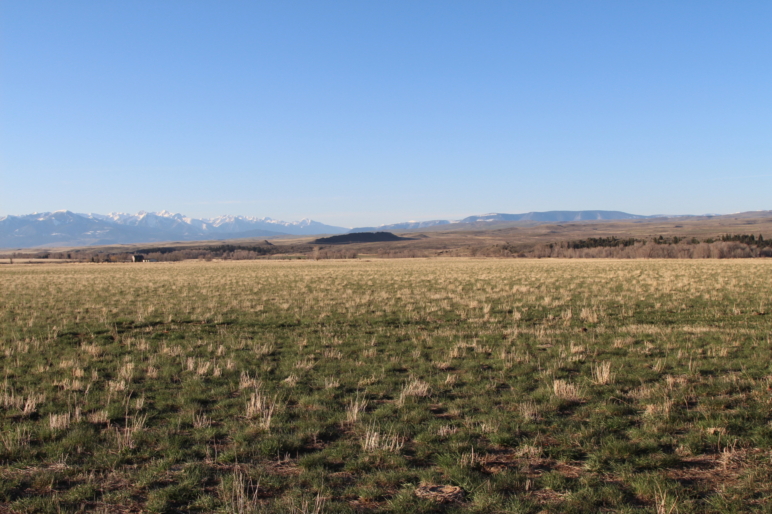Shields Valley Irrigated Farm | Livingston Montana | Fay Ranches