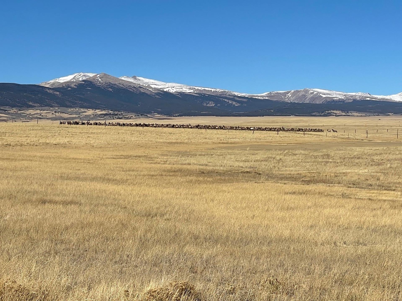 Elk Valley Ranch | Hartsel Colorado | Fay Ranches