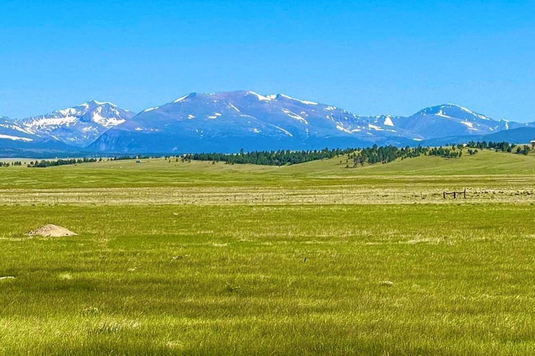 Colorado Ranch Land Properties For Sale | Fay Ranches
