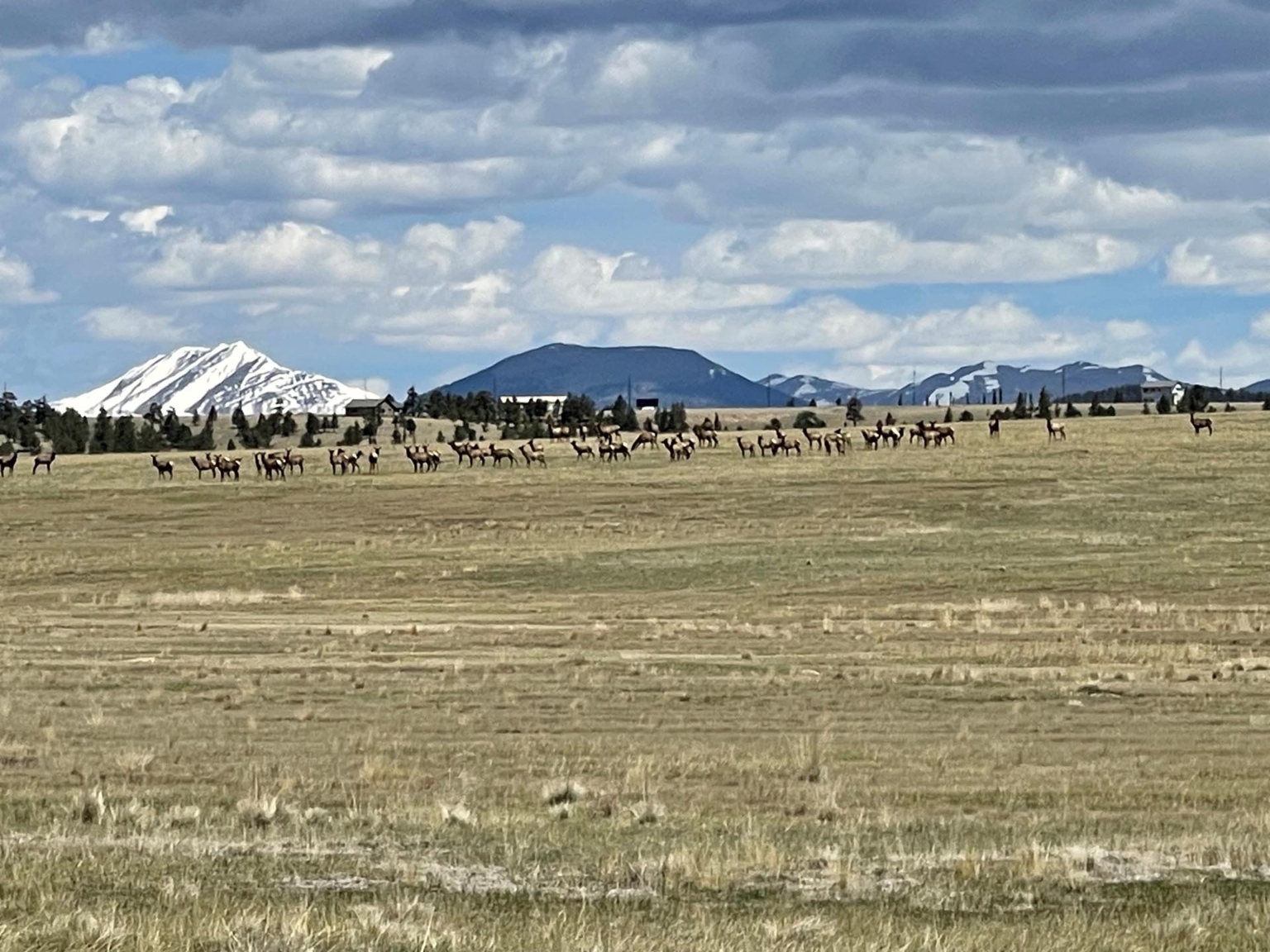 Elk Valley Ranch | Hartsel Colorado | Fay Ranches