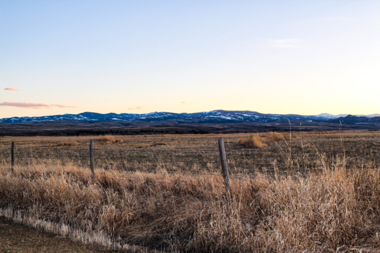 Shields Valley Irrigated Farm | Livingston Montana | Fay Ranches