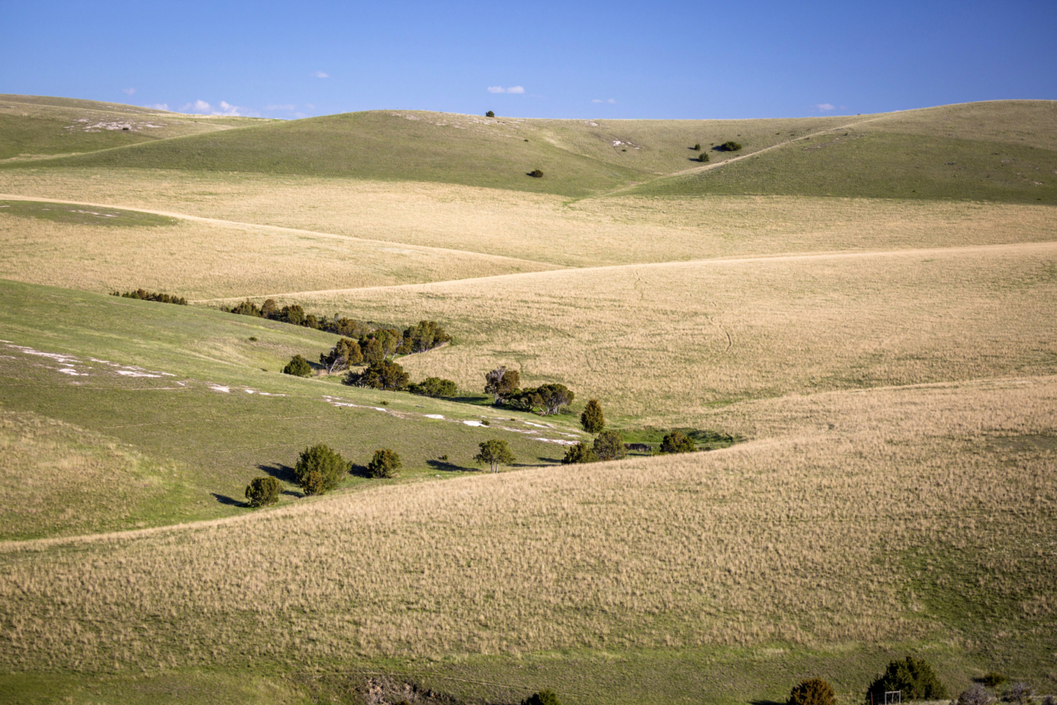 MR Ranch | Three Forks Montana | Fay Ranches