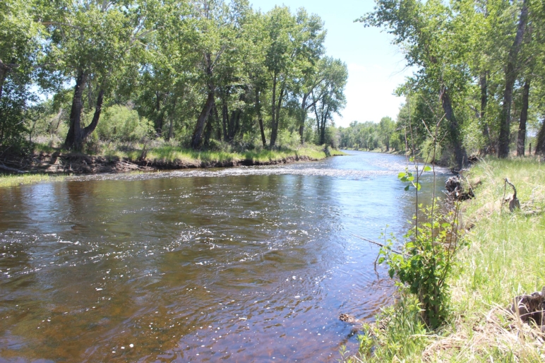 Big Hole River Escape | Melrose Montana | Fay Ranches