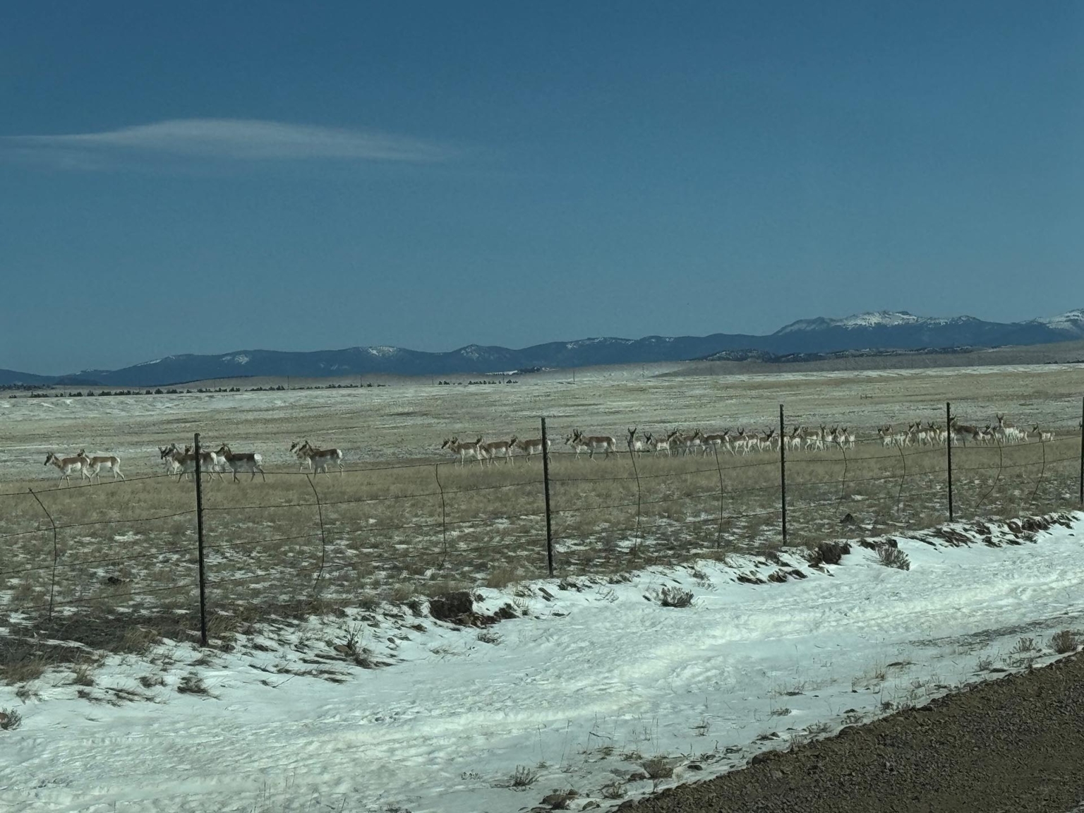 Elk Valley Ranch | Hartsel Colorado | Fay Ranches