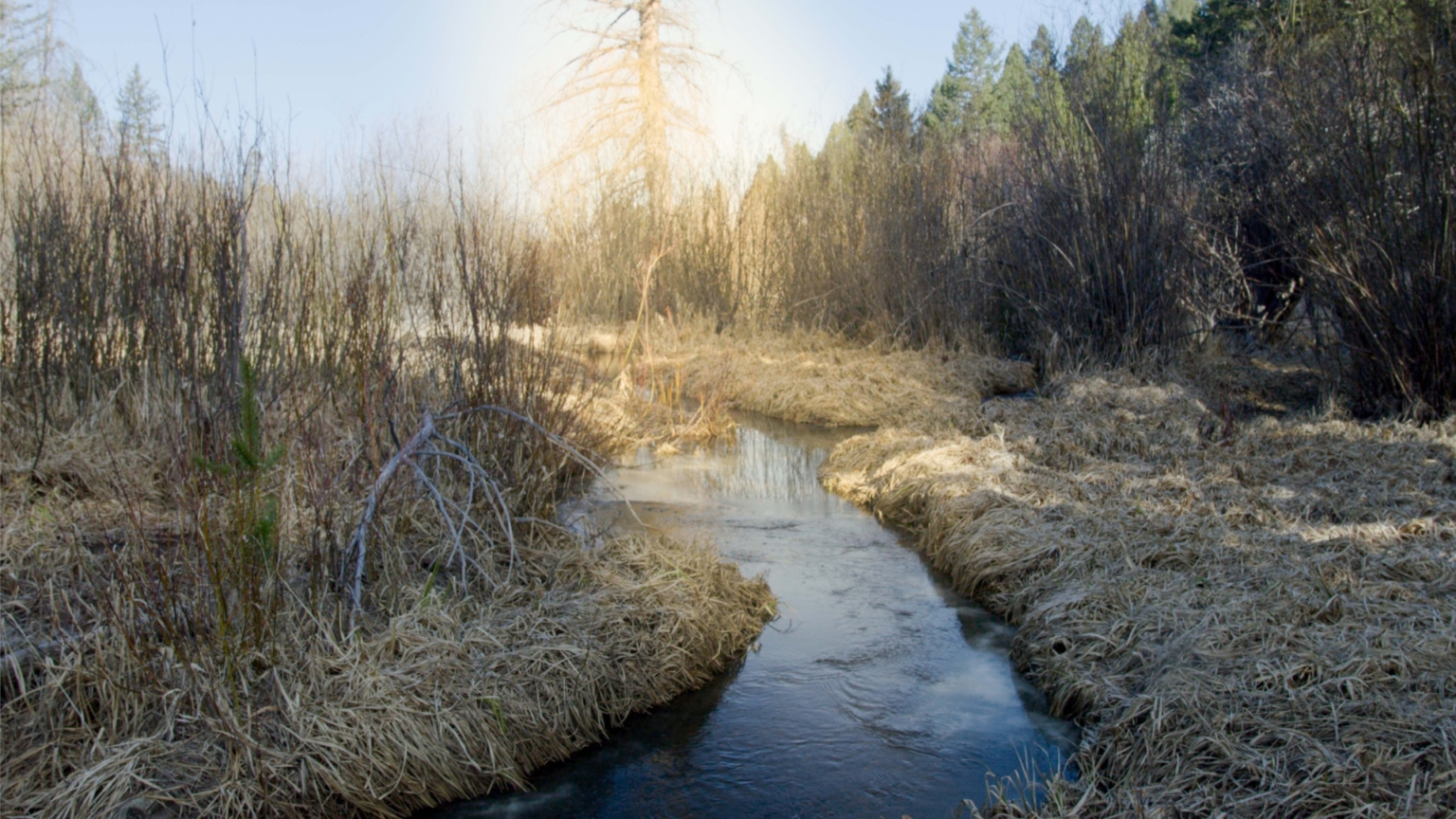 Burnt Hollow Ranch | Deer Lodge Montana | Fay Ranches