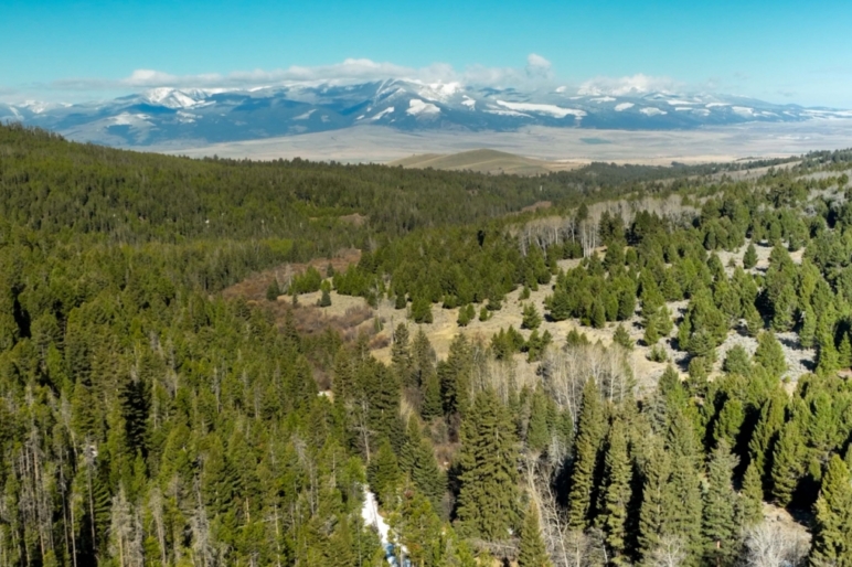 Montana Ranch Land Properties For Sale | Fay Ranches
