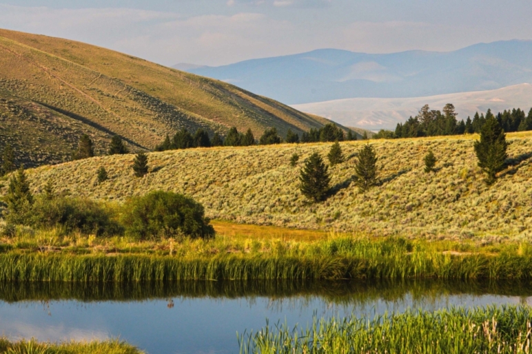 Montana Farm Land For Sale | Large Acreages | Fay Ranches