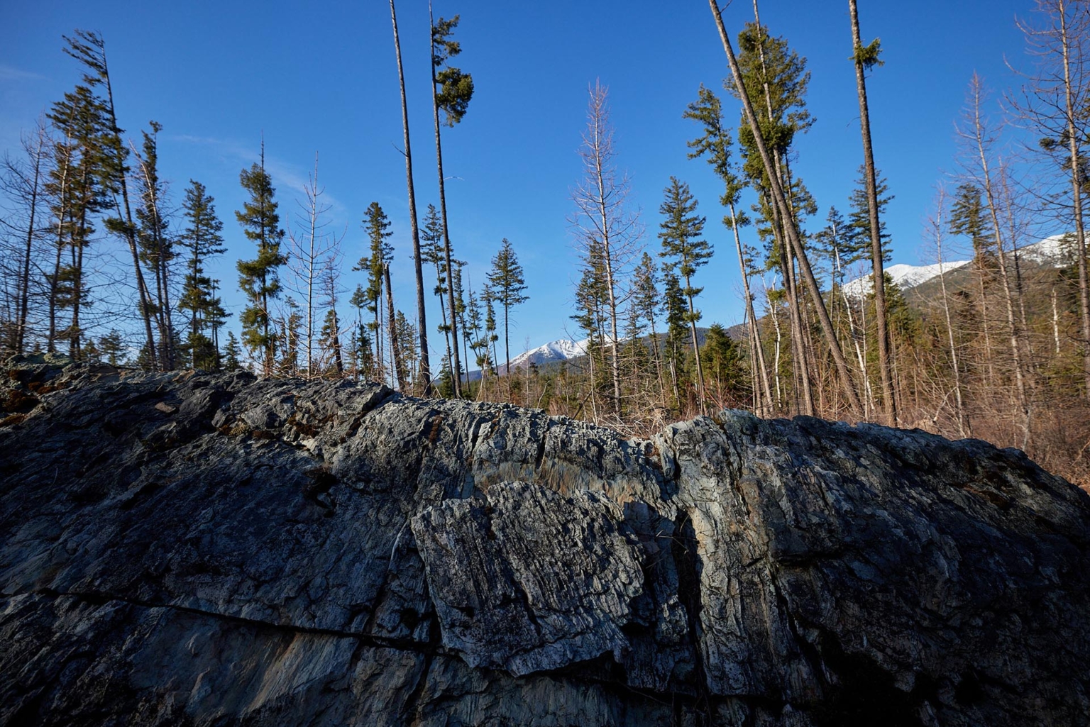Swan Lake Overlook | Bigfork Montana | Fay Ranches