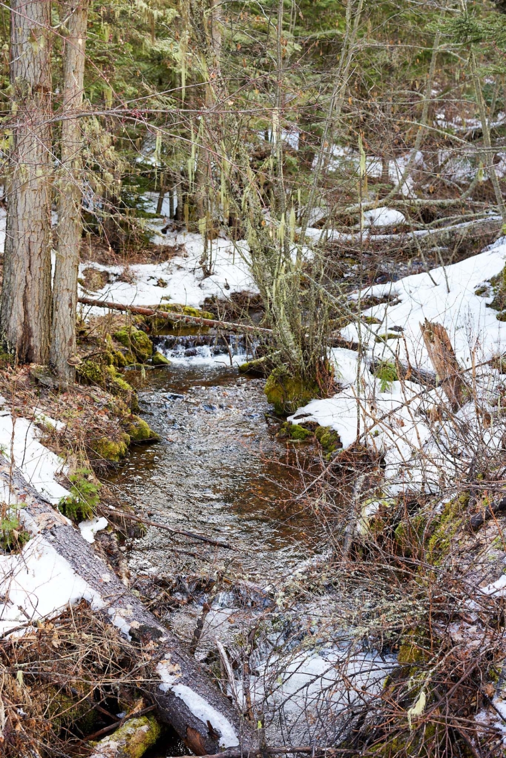 Swan Lake Overlook | Bigfork Montana | Fay Ranches