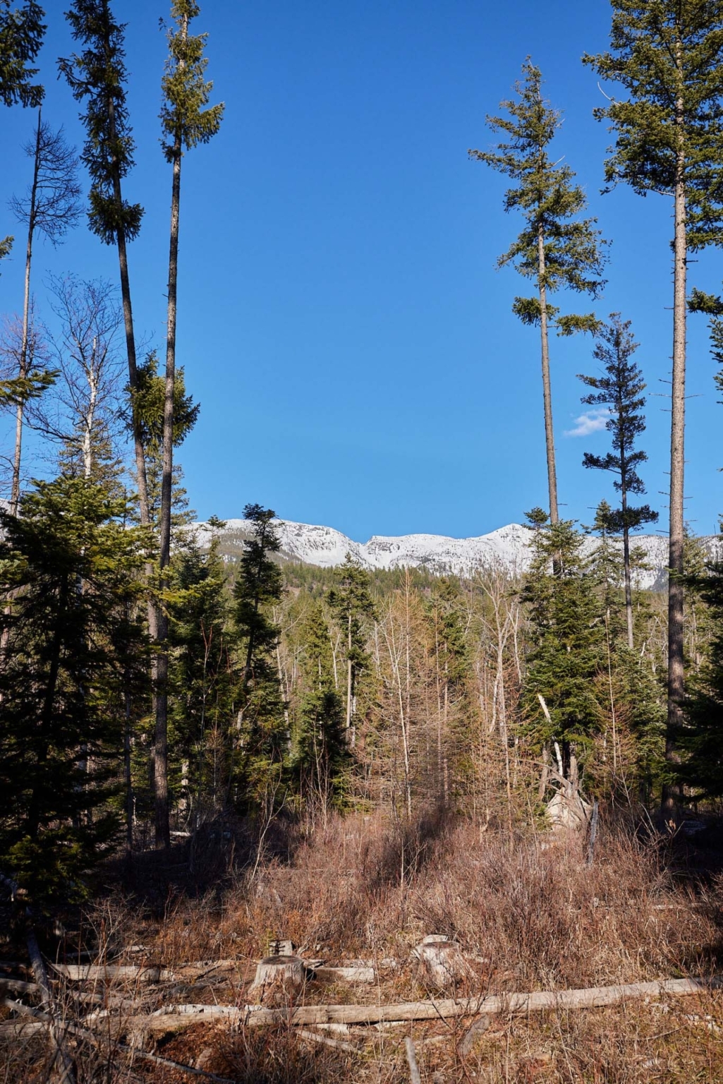 Swan Lake Overlook | Bigfork Montana | Fay Ranches