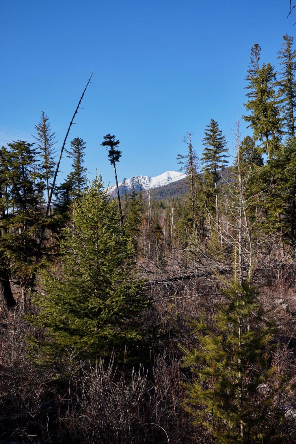 Swan Lake Overlook | Bigfork Montana | Fay Ranches