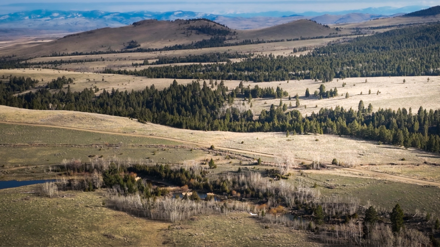 Burnt Hollow Ranch | Deer Lodge Montana | Fay Ranches