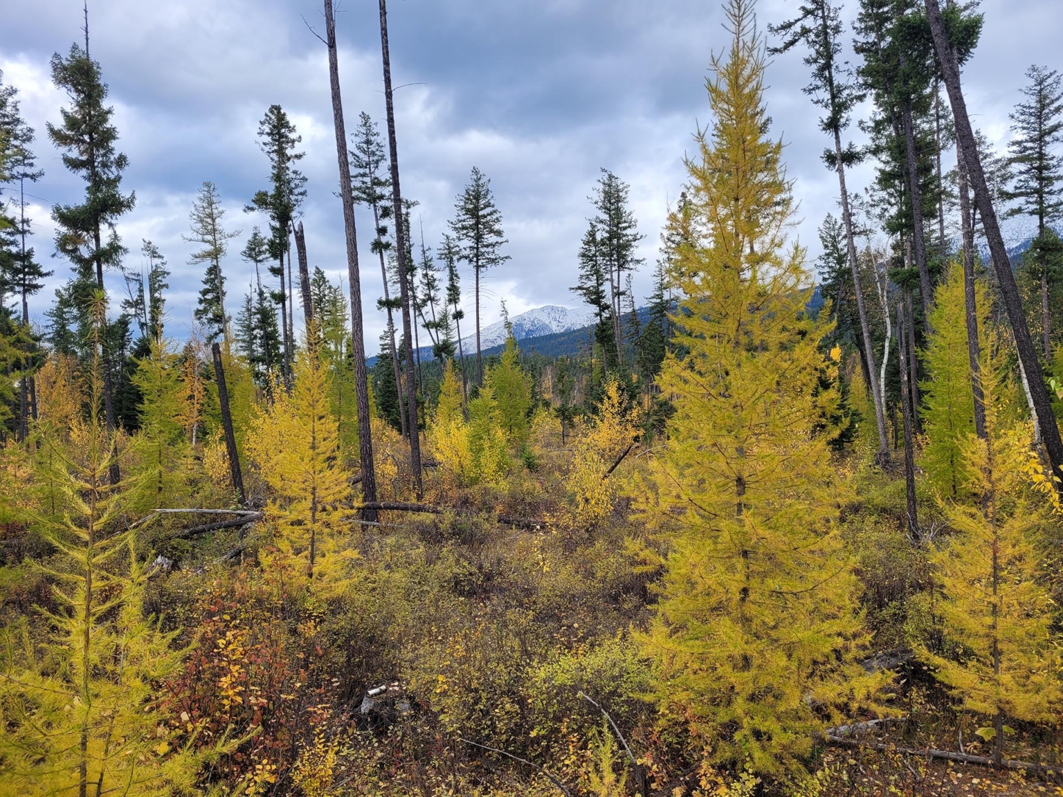Swan Lake Overlook | Bigfork Montana | Fay Ranches
