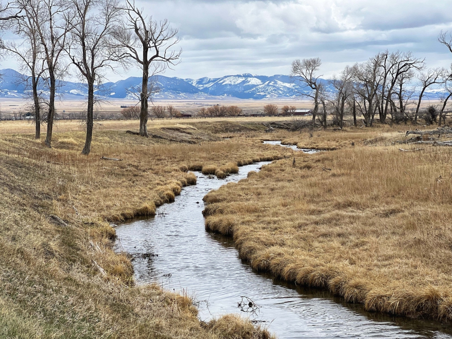 Beaverhead River Cattle Ranch | Twin Bridges Montana | Fay Ranches