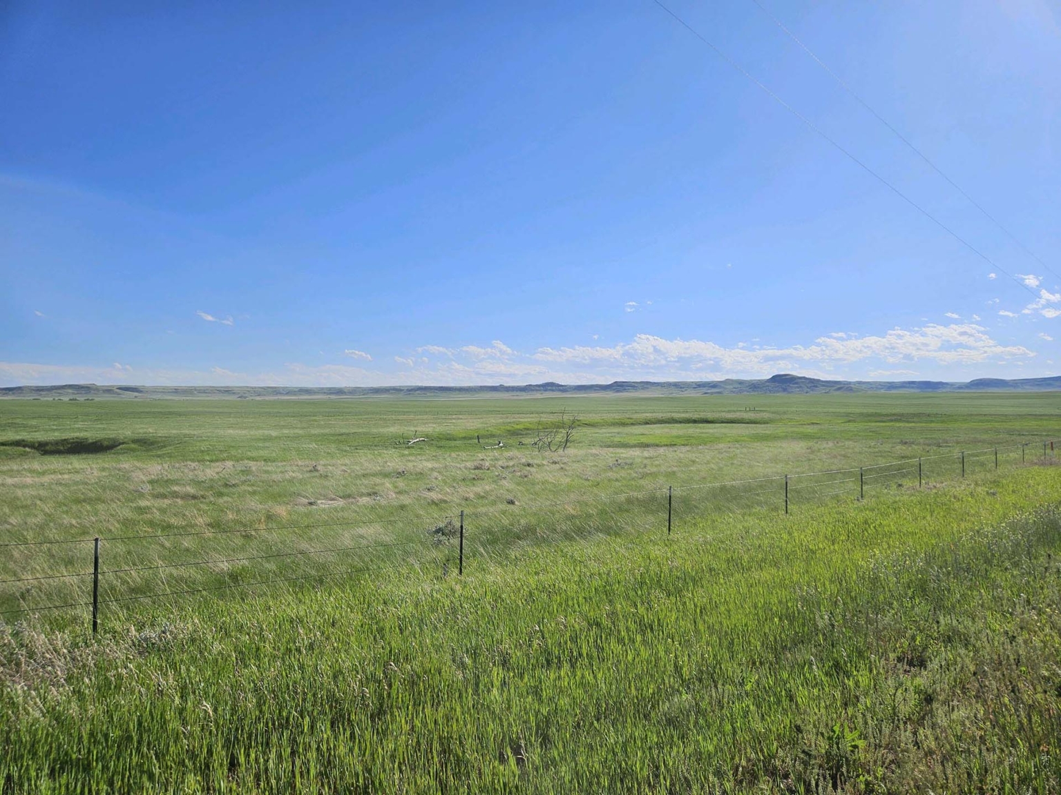 Cox Hunting Farm | Rapelje Montana | Fay Ranches