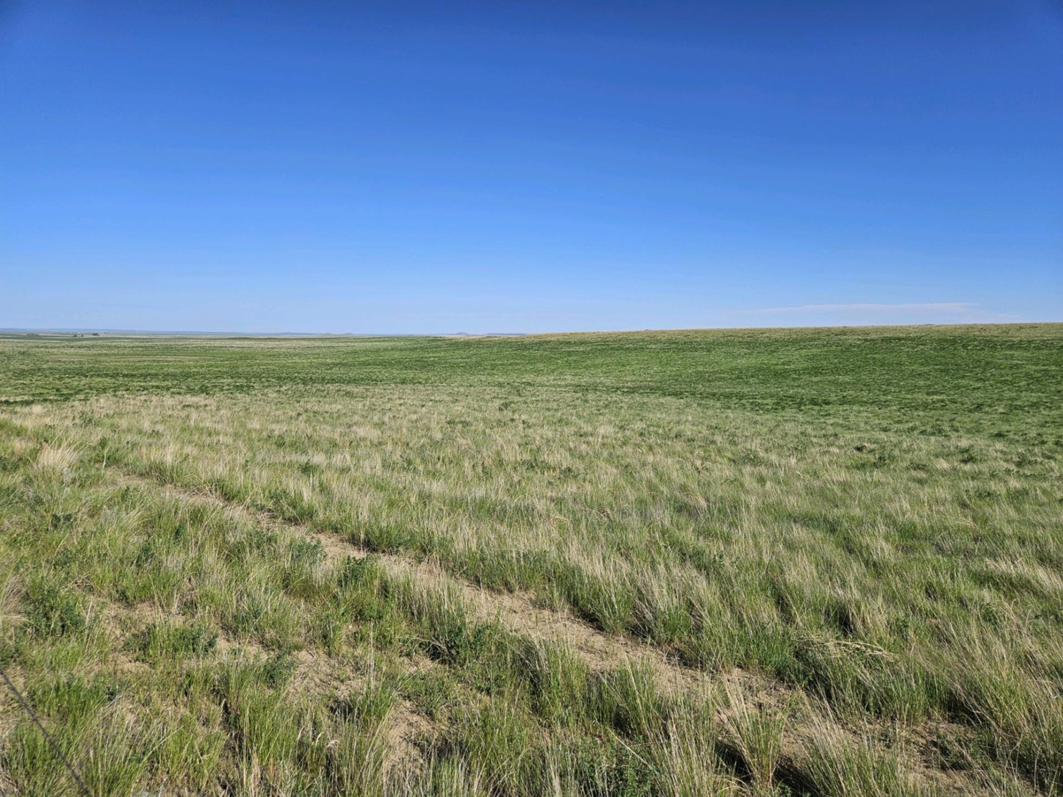 Cox Hunting Farm | Rapelje Montana | Fay Ranches