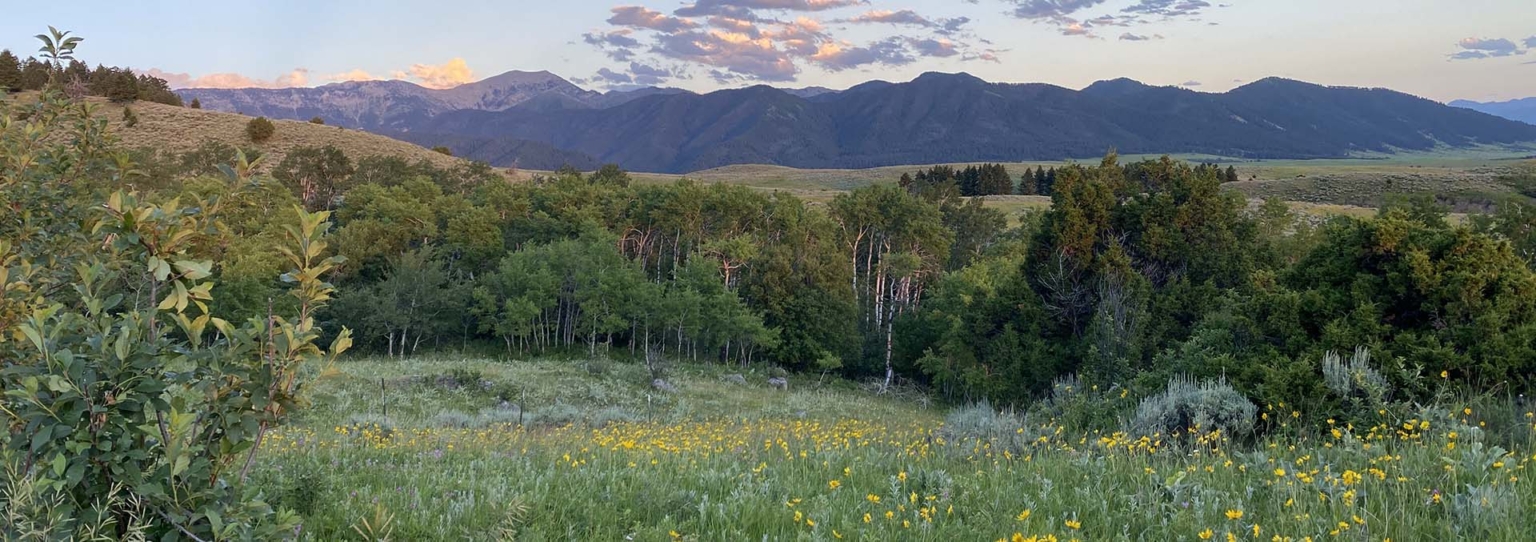 Bridger Foothills: Accelerating Construction Timelines for a New Owner ...