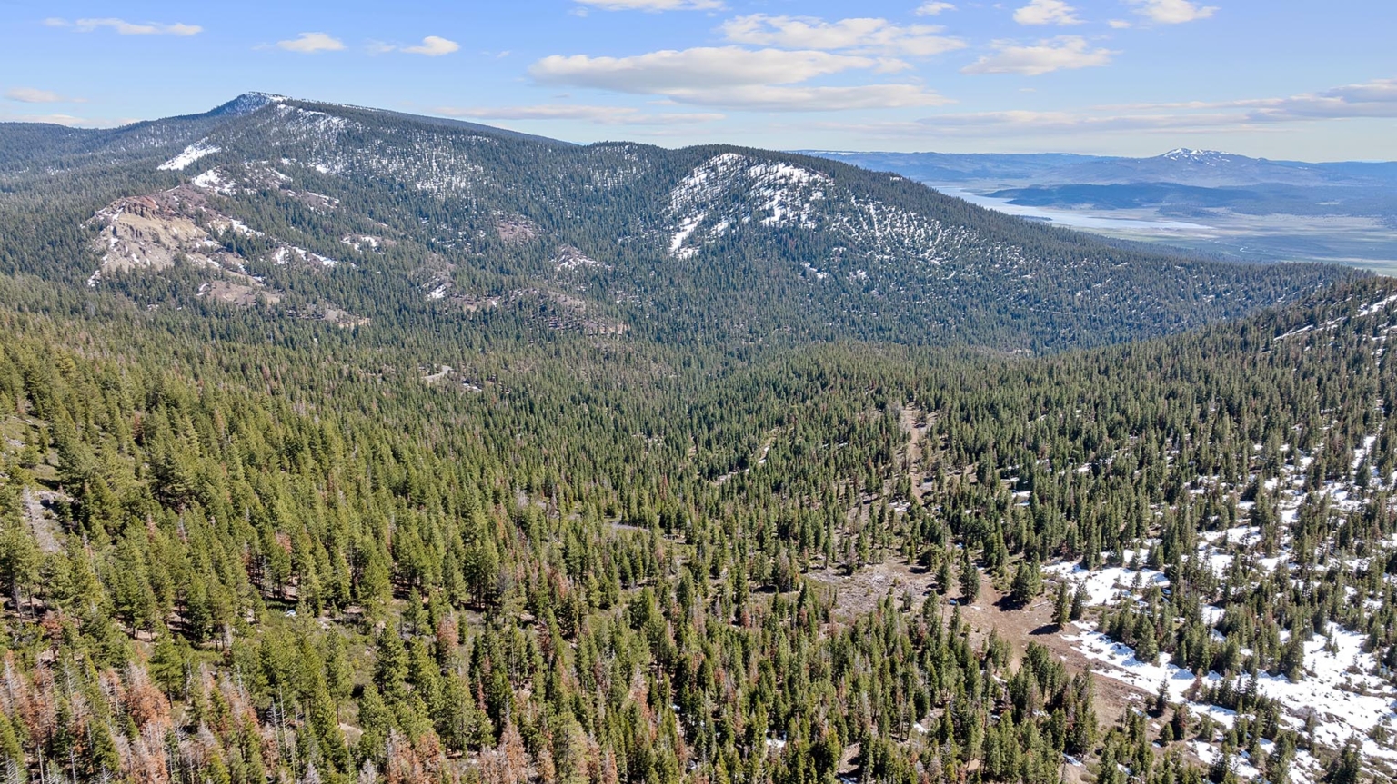 Razorback Ridge | Lakeview Oregon | Fay Ranches