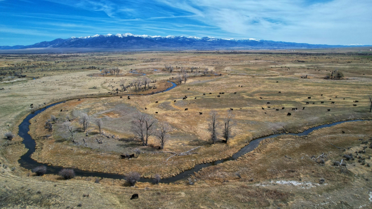 Beaverhead River Cattle Ranch | Twin Bridges Montana | Fay Ranches