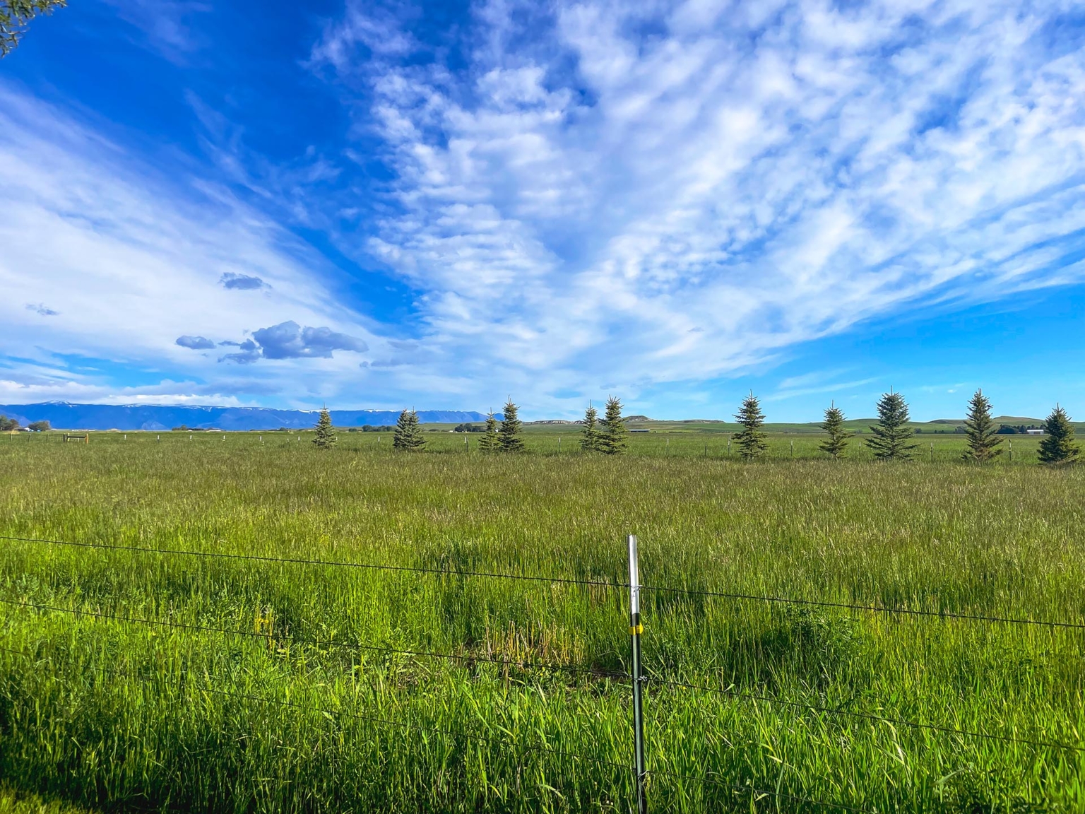 Heart Mountain Homestead | Powell Wyoming | Fay Ranches