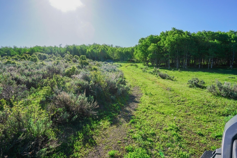 Heart L Ranch | Fay Ranches