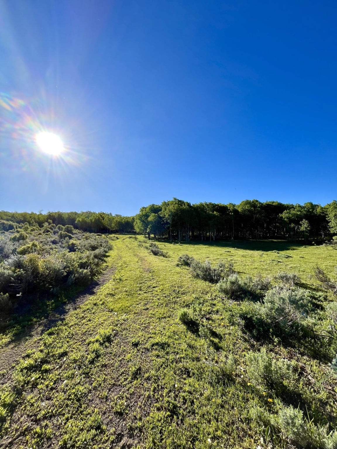Heart L Ranch | Fay Ranches