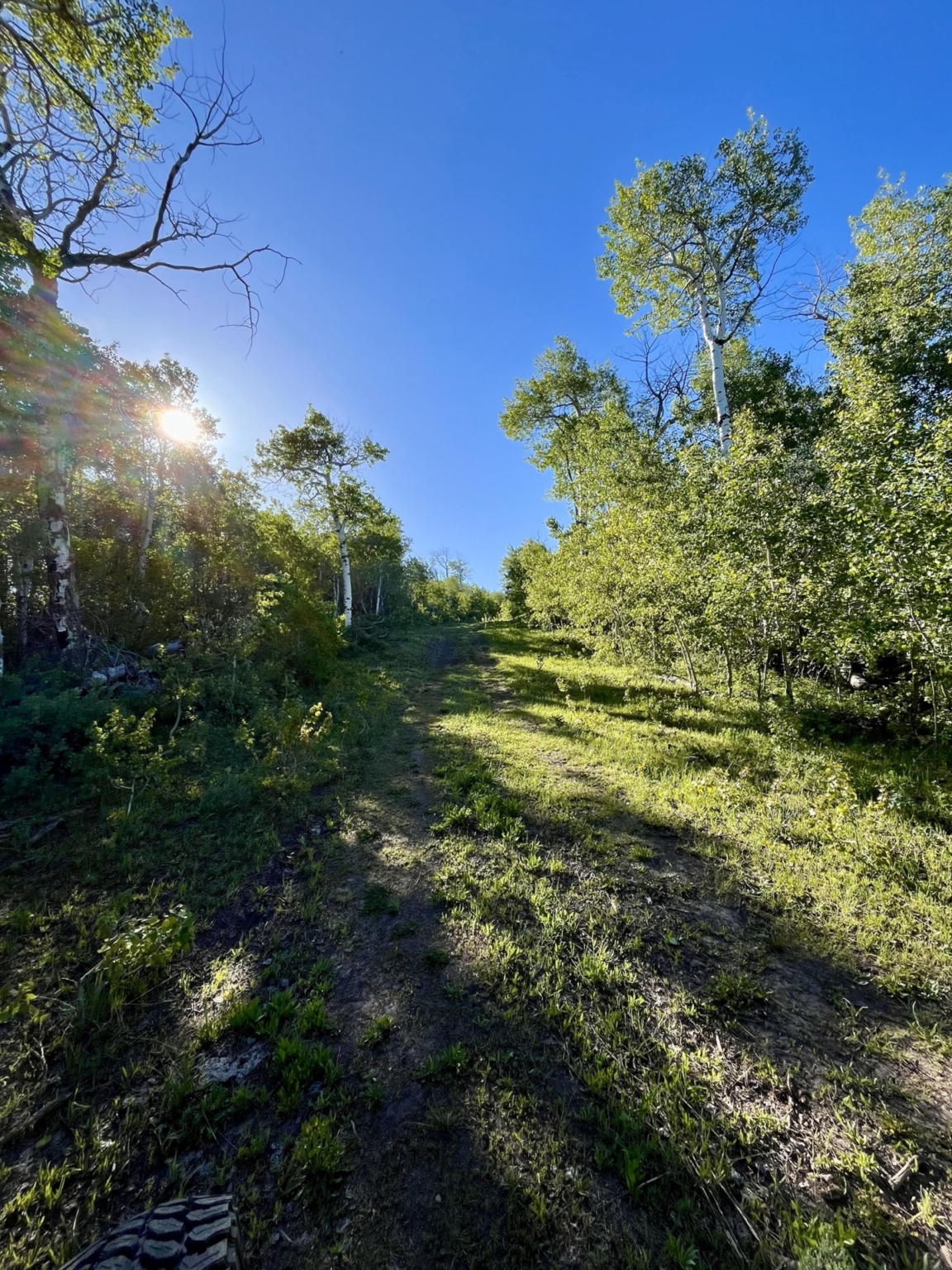 Heart L Ranch | Fay Ranches