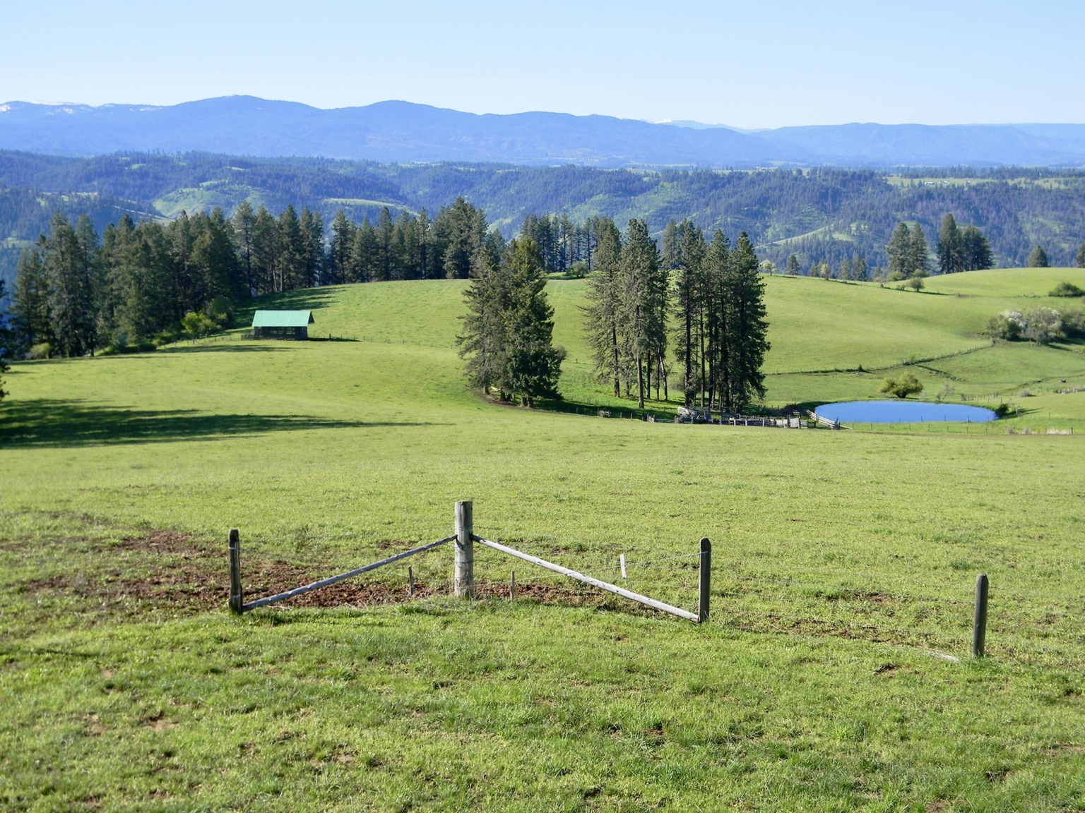 Henry Cattle Ranch | Kooskia Idaho | Fay Ranches