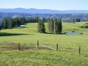 Henry Cattle Ranch | Kooskia Idaho | Fay Ranches
