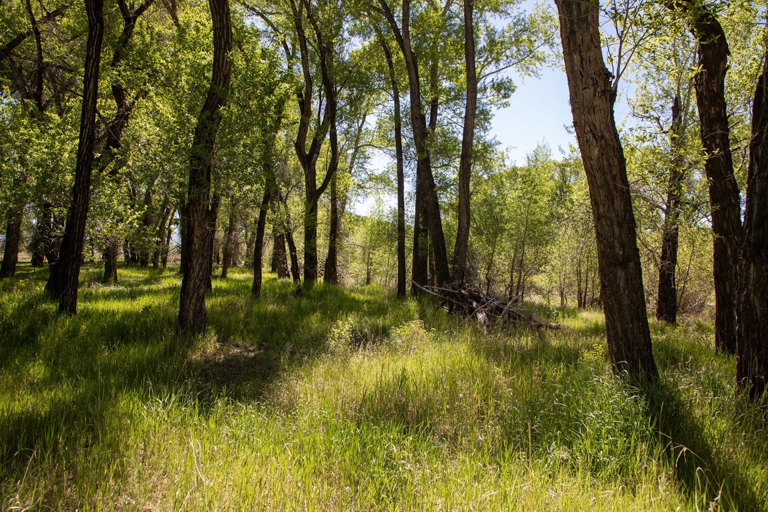Saratoga North Platte River Ranch | Saratoga Wyoming | Fay Ranches