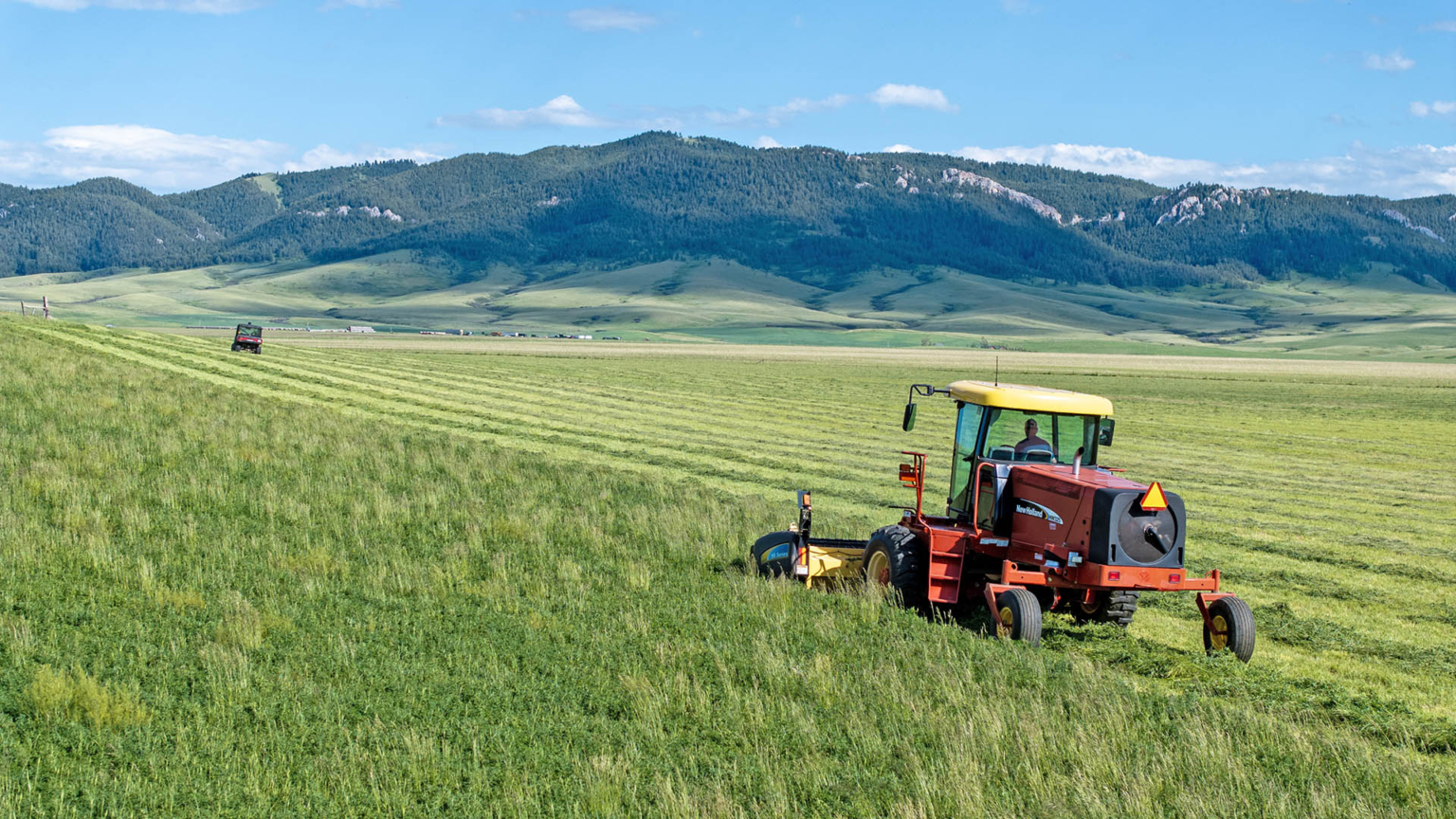 Plum Creek Ranch | Lewistown Montana | Fay Ranches