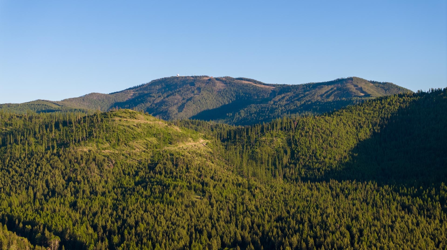 Coon Hollow Retreat | Kila Montana | Fay Ranches