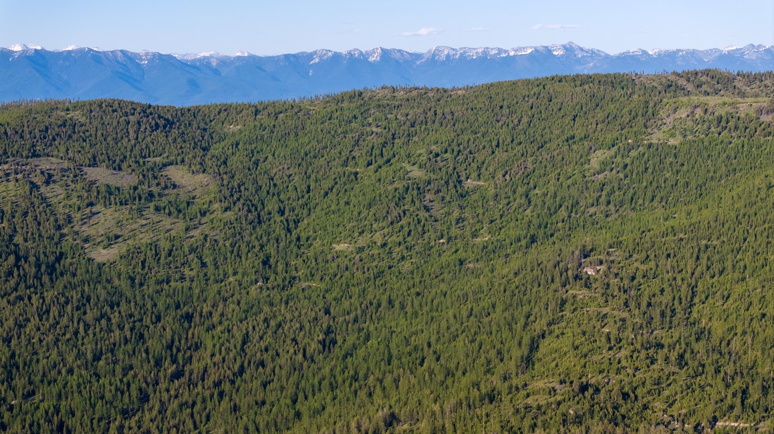 Coon Hollow Retreat | Kila Montana | Fay Ranches