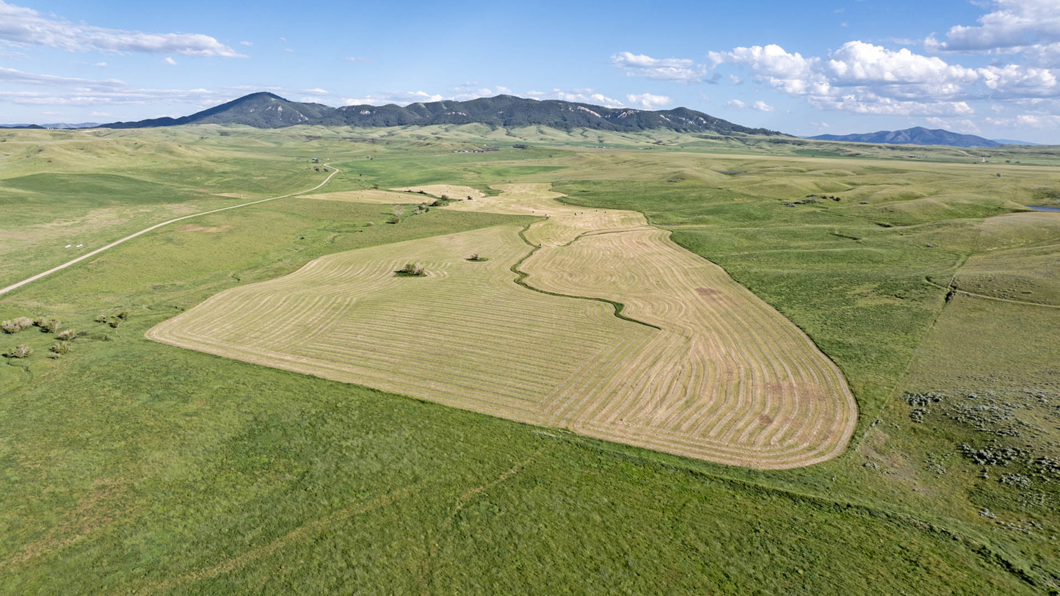 Plum Creek Ranch | Lewistown Montana | Fay Ranches