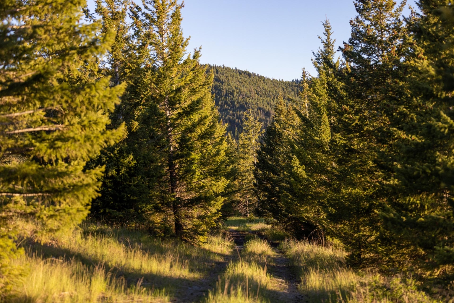 Coon Hollow Retreat | Kila Montana | Fay Ranches