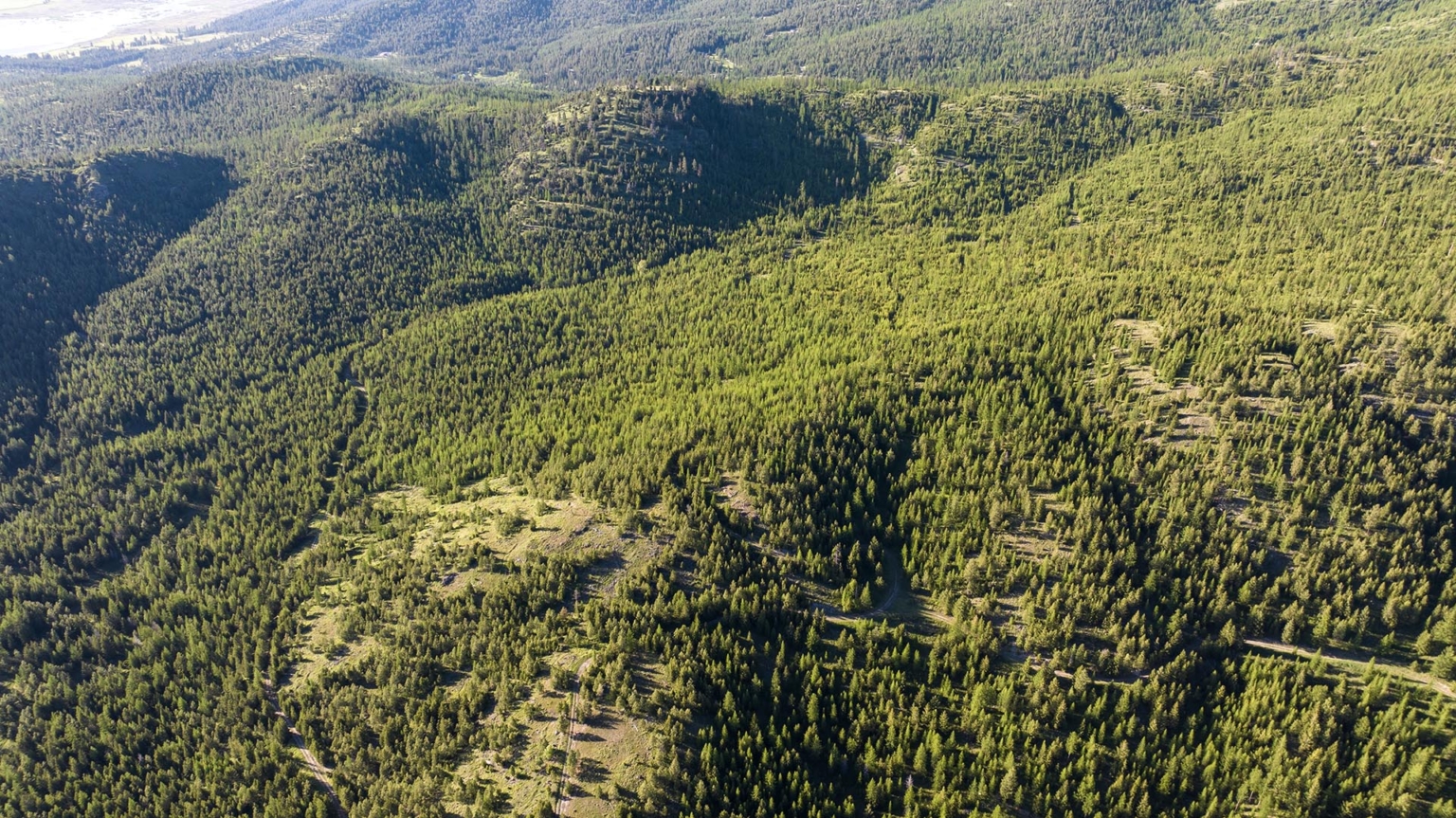 Coon Hollow Retreat | Kila Montana | Fay Ranches