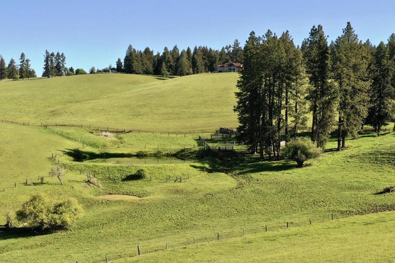 Idaho Ranch Land Properties For Sale | Fay Ranches