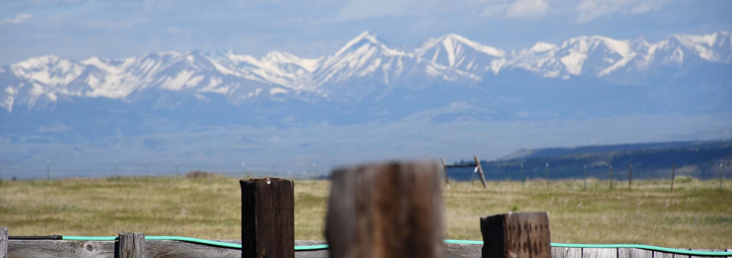 Noon Bear Ranch | Reed Point Montana | Fay Ranches