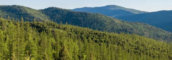 Coon Hollow Retreat | Kila Montana | Fay Ranches