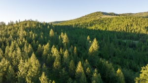 Coon Hollow Retreat | Kila Montana | Fay Ranches