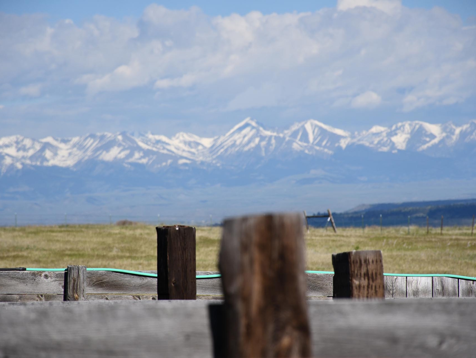 Noon Bear Ranch | Reed Point Montana | Fay Ranches