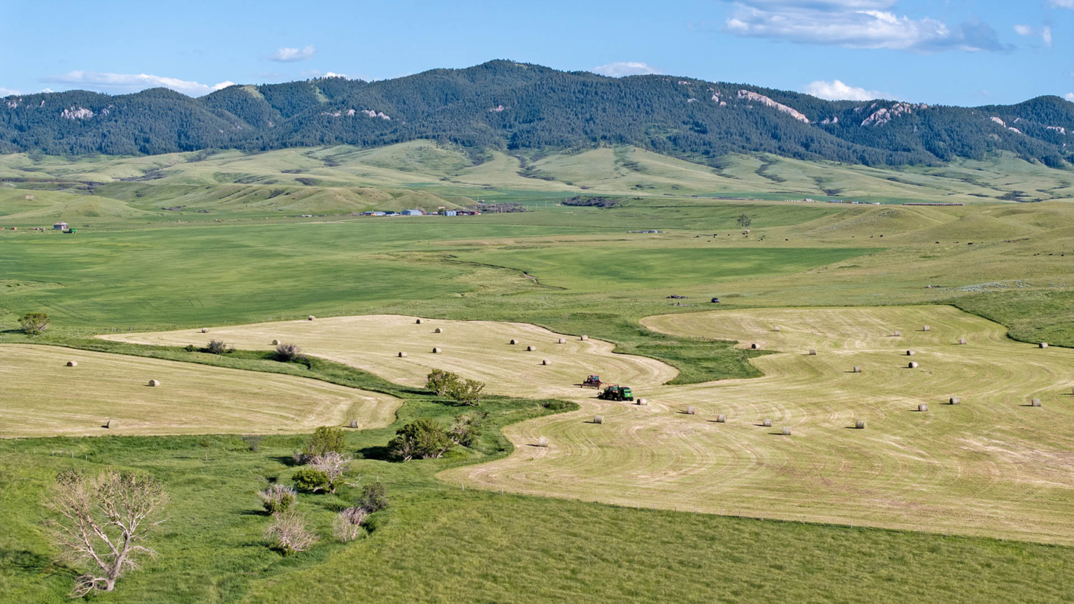 Plum Creek Ranch | Lewistown Montana | Fay Ranches