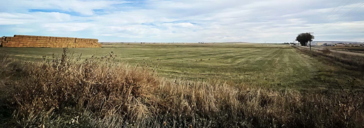 Kiowa Creek Farm | Lyman Nebraska | Fay Ranches