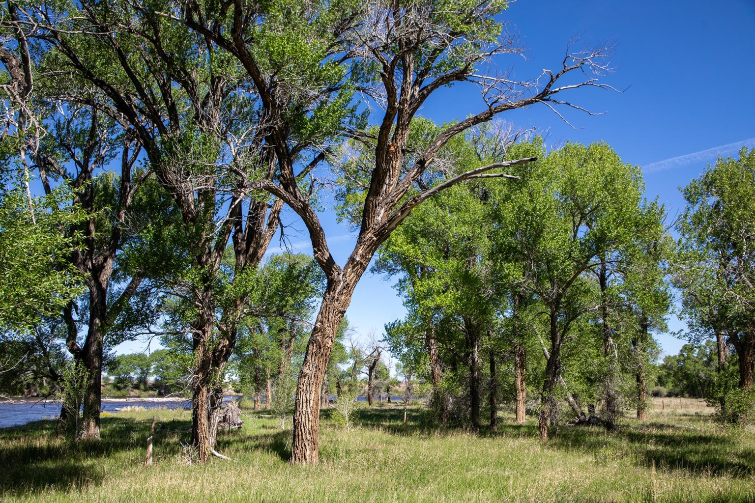 Saratoga North Platte River Ranch | Saratoga Wyoming | Fay Ranches