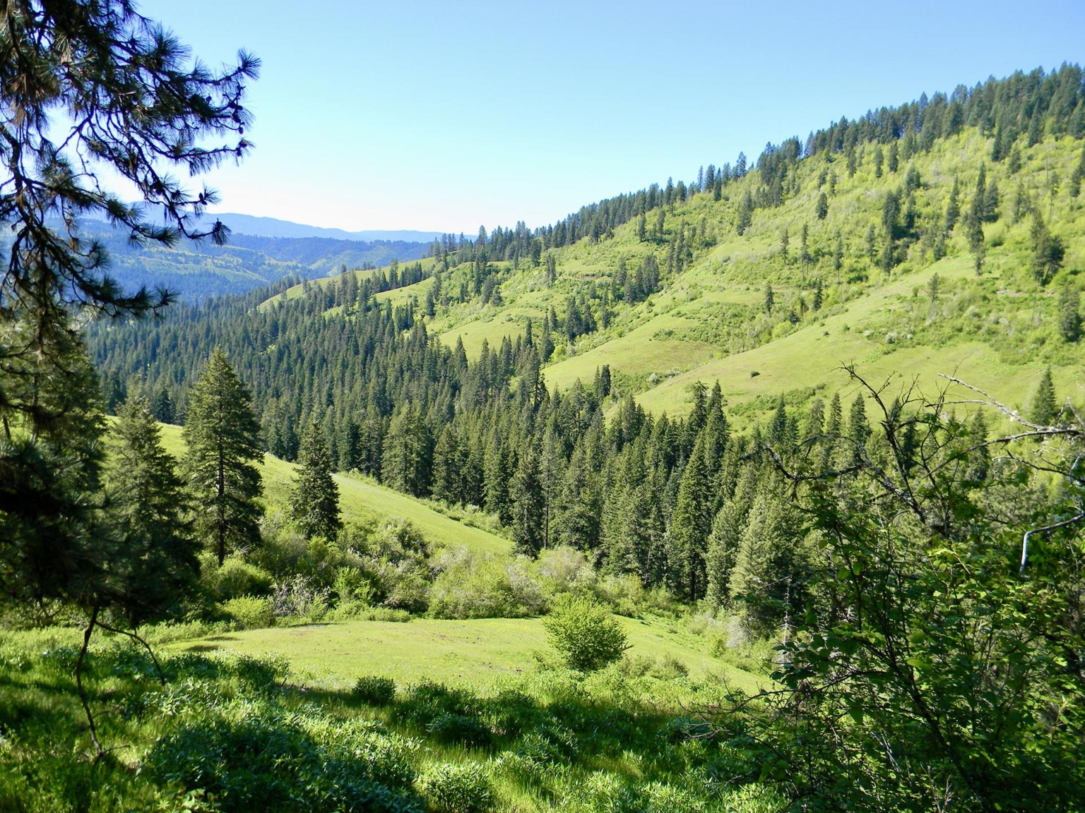 Henry Cattle Ranch | Kooskia Idaho | Fay Ranches