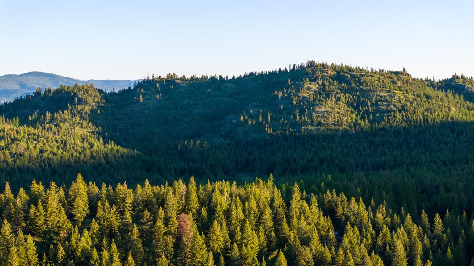 Coon Hollow Retreat | Kila Montana | Fay Ranches