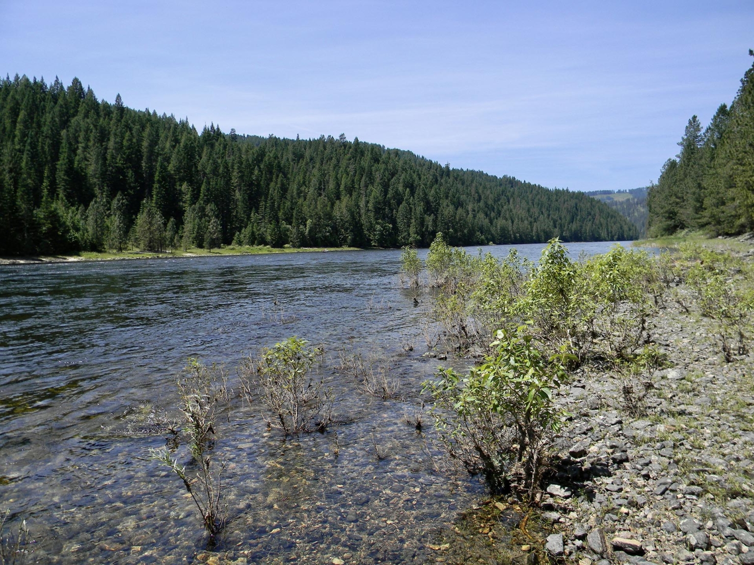 Henry Cattle Ranch | Kooskia Idaho | Fay Ranches