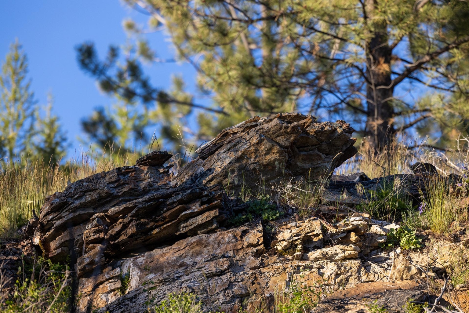 Coon Hollow Retreat | Kila Montana | Fay Ranches