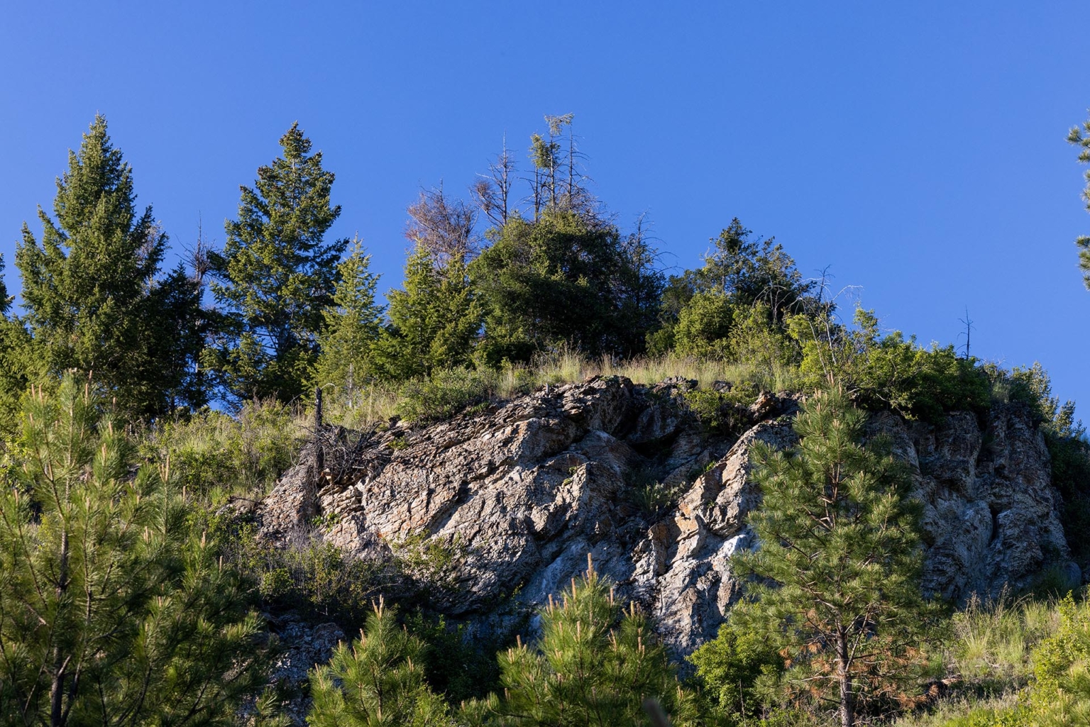 Coon Hollow Retreat | Kila Montana | Fay Ranches